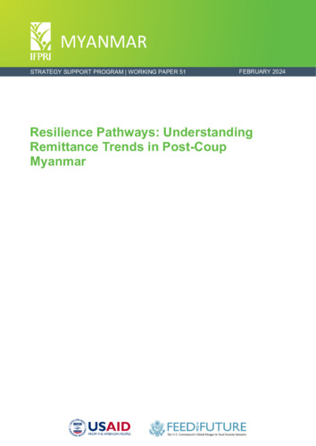 Resilience pathways: Understanding remittance trends in post-coup Myanmar