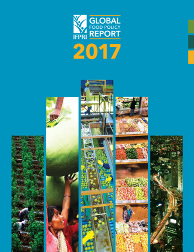 2017 Global food policy report
