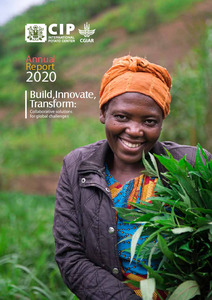 CIP Annual Report 2020. Build, Innovate, Transform: Collaborative ...