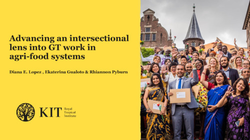 Advancing an intersectional lens into gender transformative work in ...